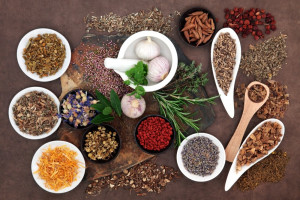 Herbs for Fertility | American Pregnancy Association