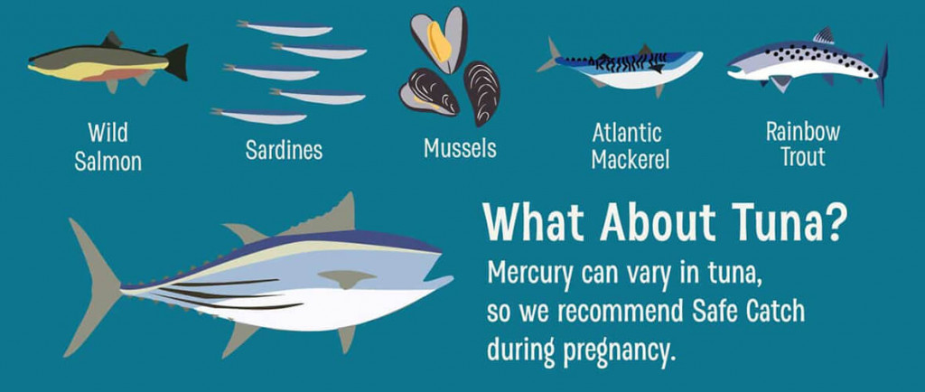 Eating Seafood During Pregnancy | American Pregnancy Association