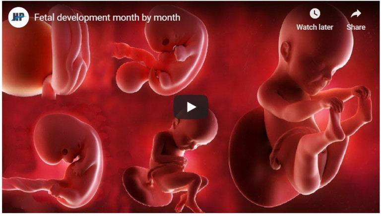 11 Weeks Pregnant | American Pregnancy Association